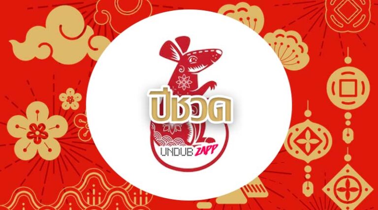 ปีหน้าปีชงคือ? จัดอันดับ ปีชง 2566 มีปีอะไรบ้าง พร้อมแนะนำข้อควรระวัง – UndubZapp